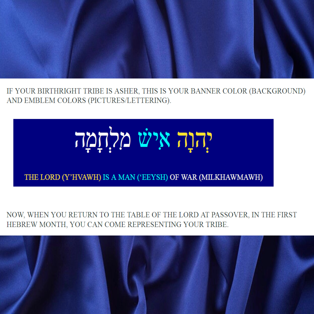 ASHER – 12 Tribes Messianic Hebrews